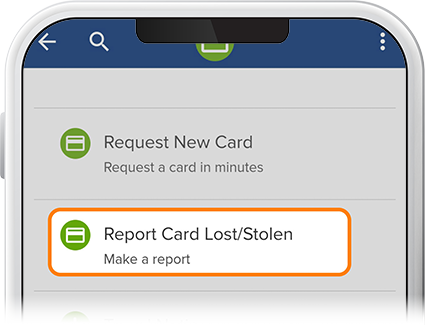 Report Card Lost/Stolen | SELCO